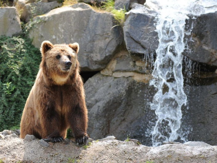 Wild- & Freizeitpark Klotten/ Cochem